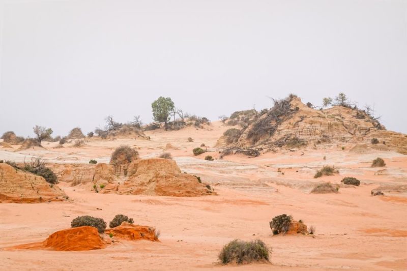 Mungo National Park: Everything You Need to Know About Visiting
