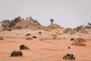 Mungo National Park: Everything You Need to Know About Visiting