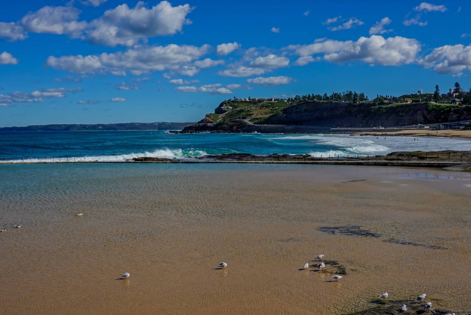 The Best Beaches In Newcastle On The Bathers Way Coastal Walk