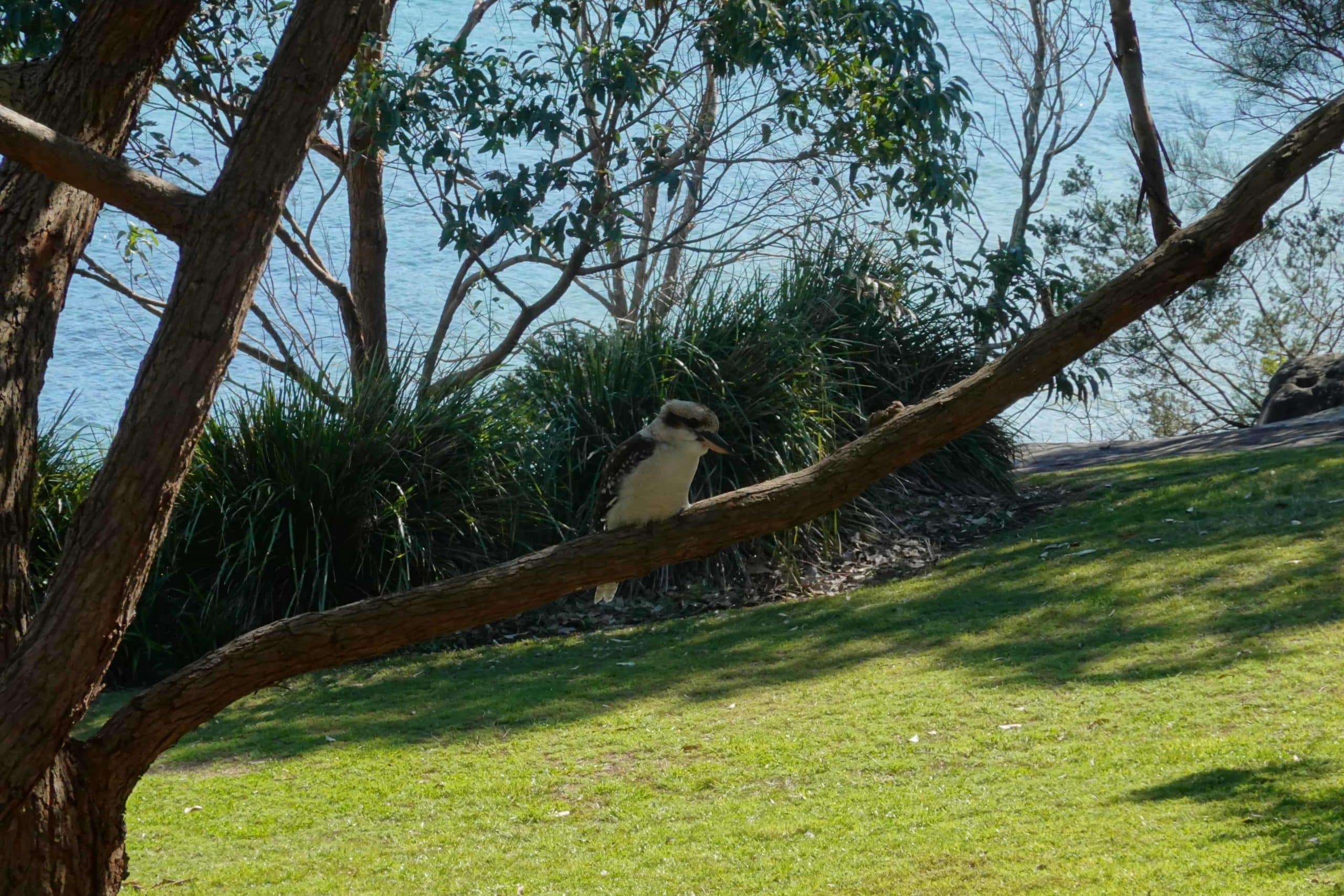 Botany Bay Coastal Walk: The 34km Cronulla to Kurnell Challenge