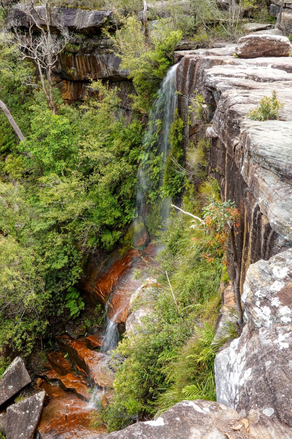 The 19 Best Waterfalls in Sydney You Must Visit (Updated [date-today ...