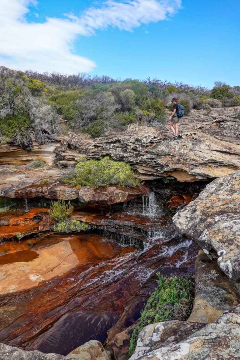 Curracurrong Falls: Wattamolla to Eagle Rock, Royal National Park