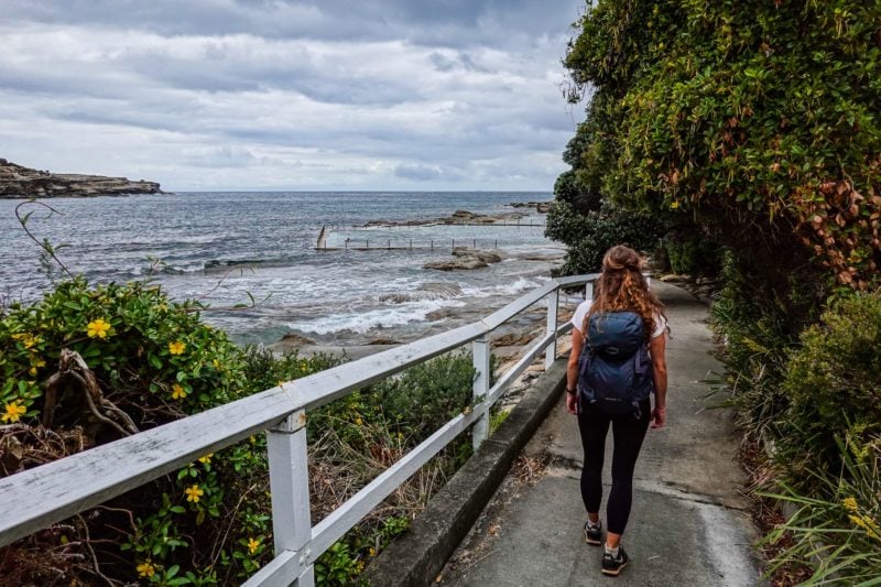 Malabar Headland Walk: The Ultimate Guide