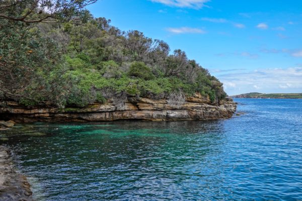 The Epic Cape Banks Walking Track and Henry Head Circuit