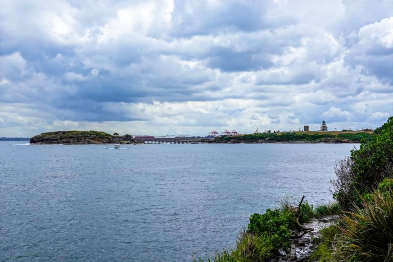 The Epic Cape Banks Walking Track and Henry Head Circuit