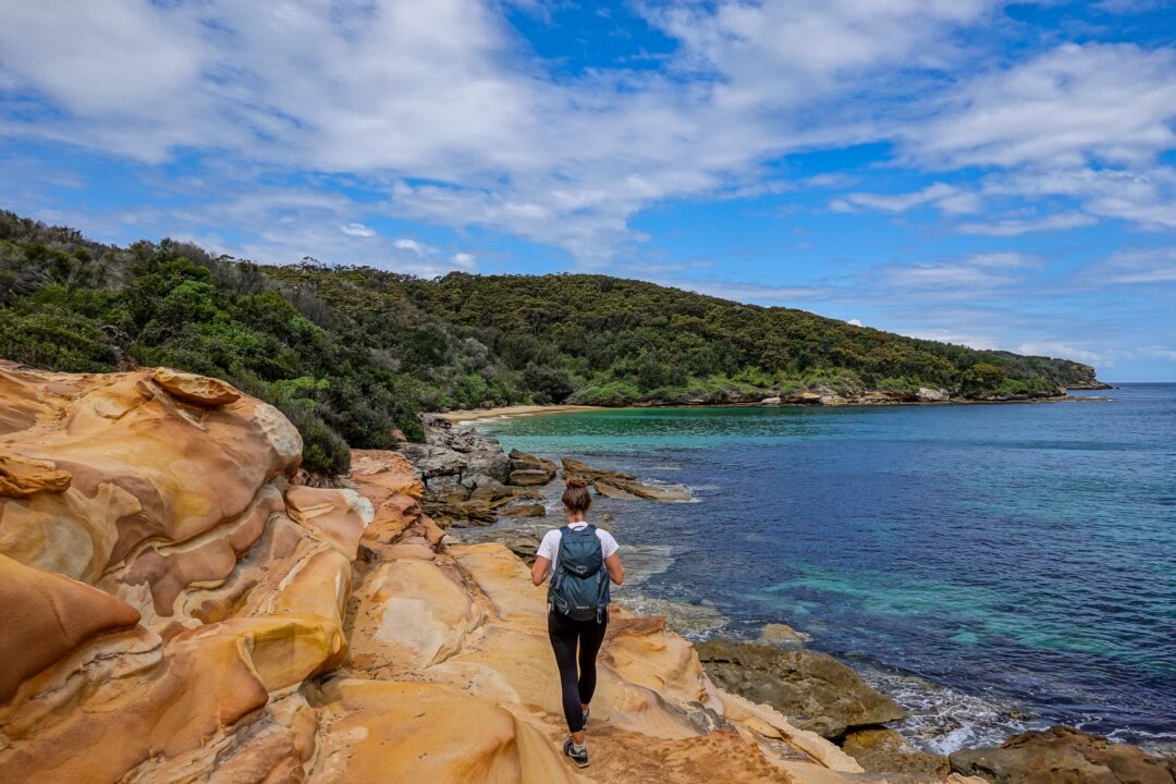 The Epic Cape Banks Walking Track and Henry Head Circuit