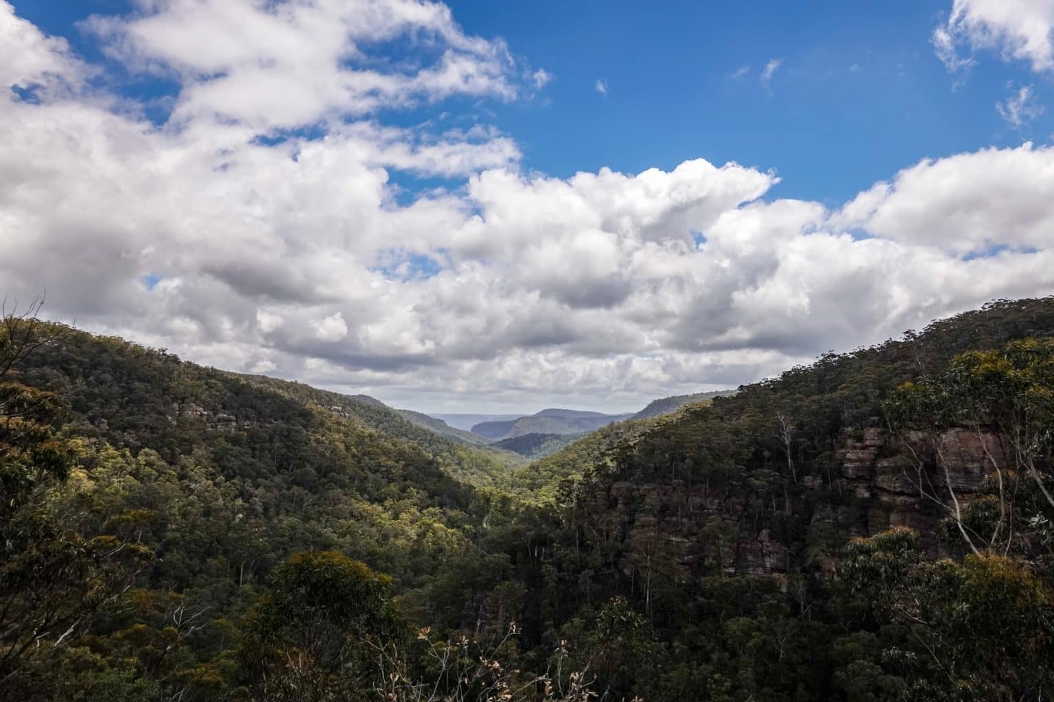 Box Vale Walking Track: The Ultimate Guide (Updated [date-today format ...