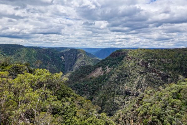 Bungonia National Park Ultimate Guide: Red Track & Gorge Circuit