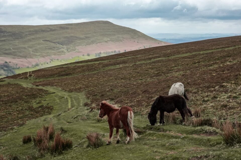 12 OF THE BEST BRECON BEACONS WALKS IN WALES