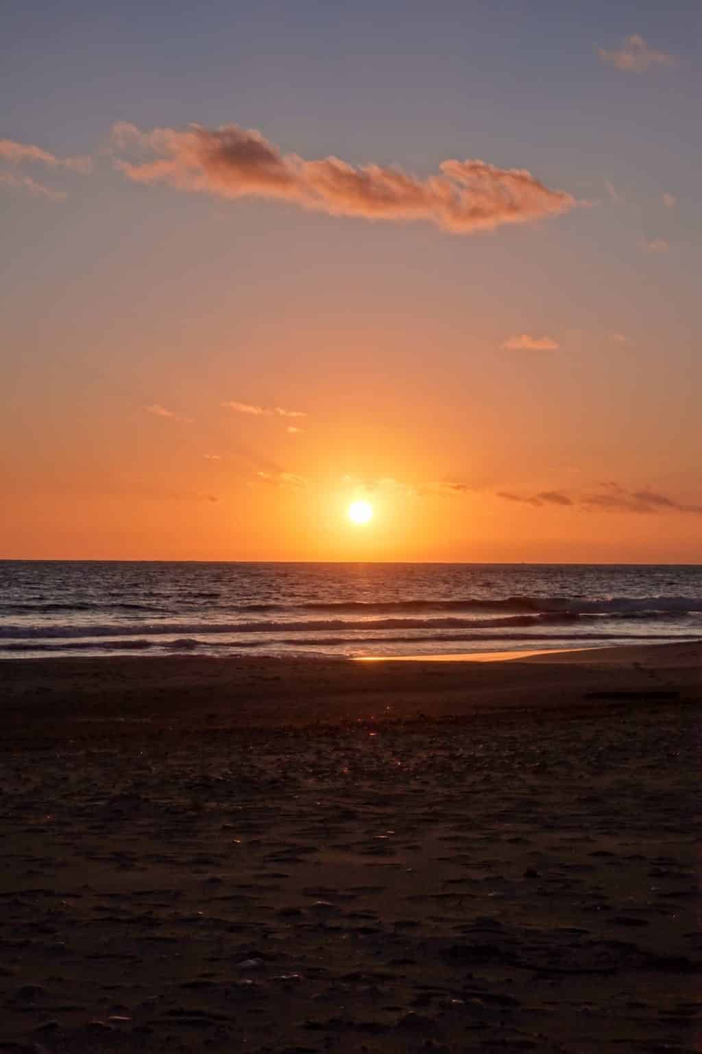 Cova des Coloms: The Ultimate Hiking Guide