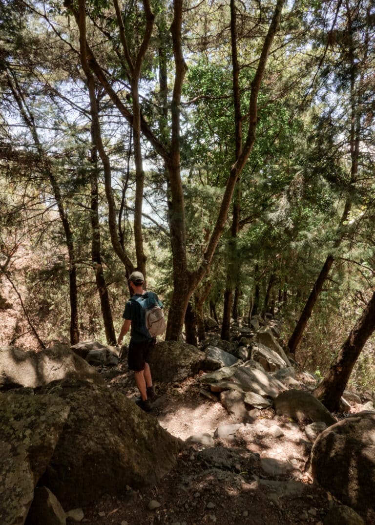 Lower Mayan Trail: The Best Lake Atitlan Hike You Didn't Know Existed