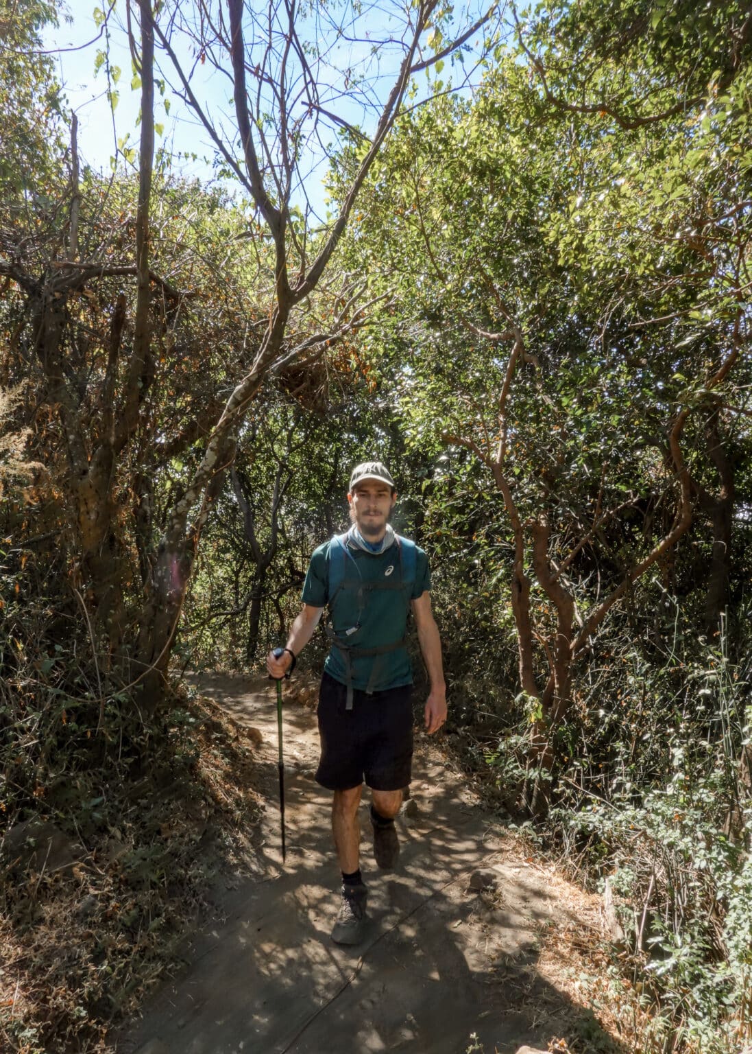 Santa Ana Volcano Hike In The Cerro Verde National Park