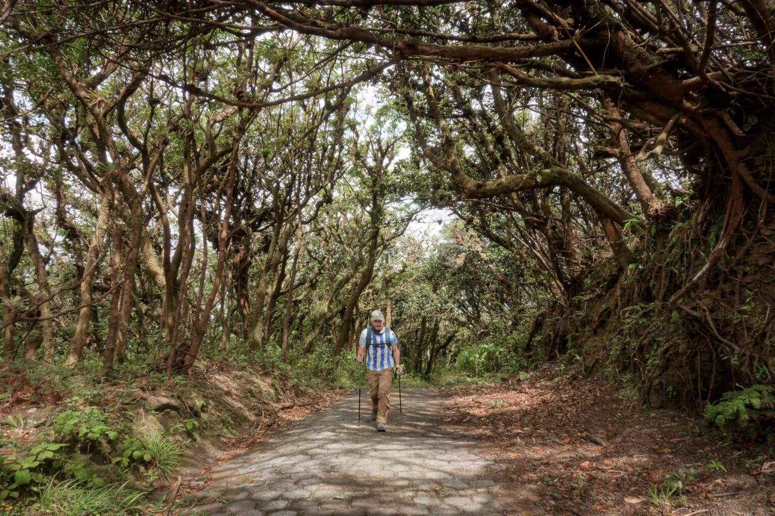 Mombacho Hike in Nicaragua: The Ultimate Guide