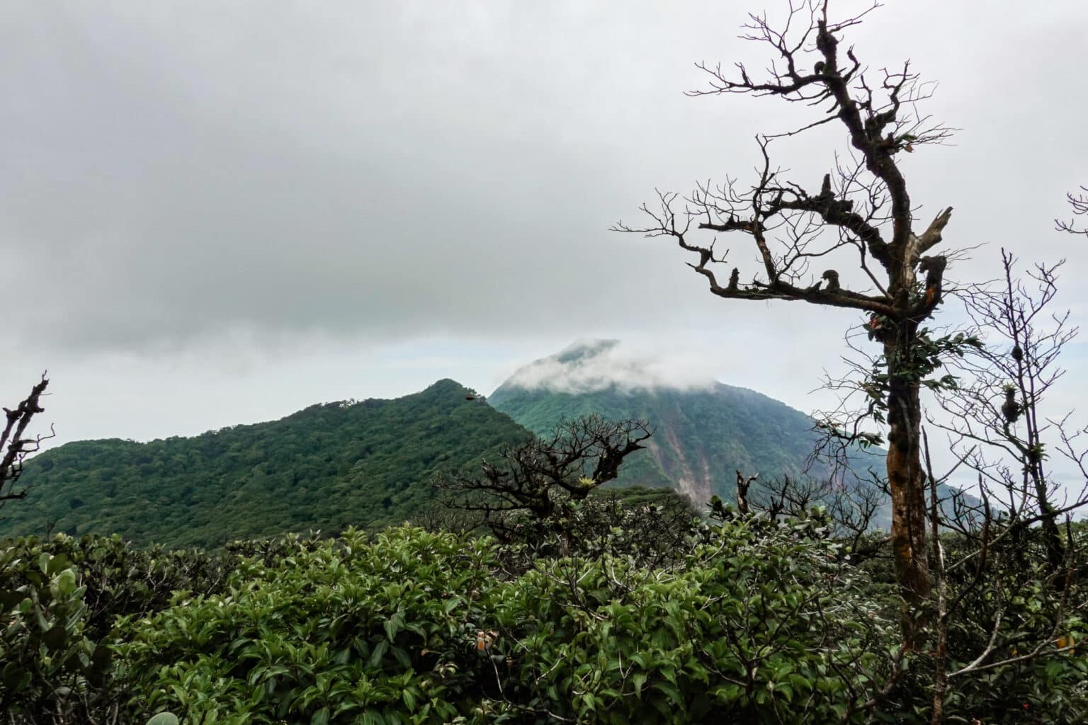 Mombacho Hike in Nicaragua: The Ultimate Guide