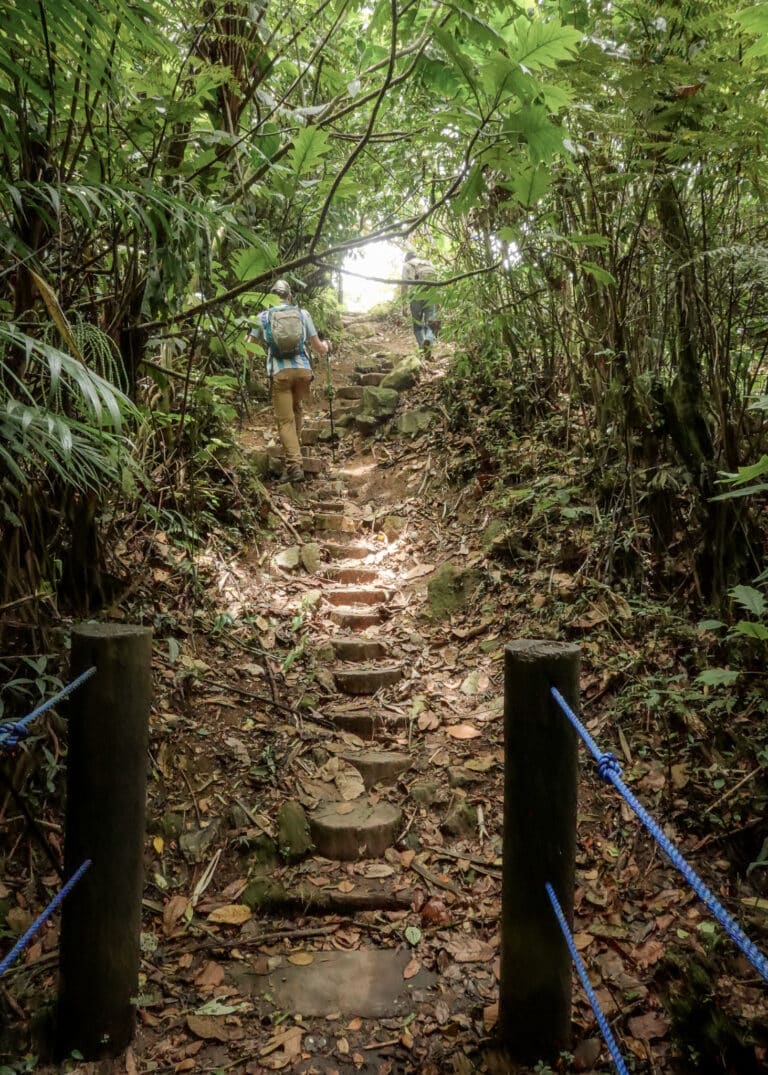 Mombacho Hike in Nicaragua: The Ultimate Guide