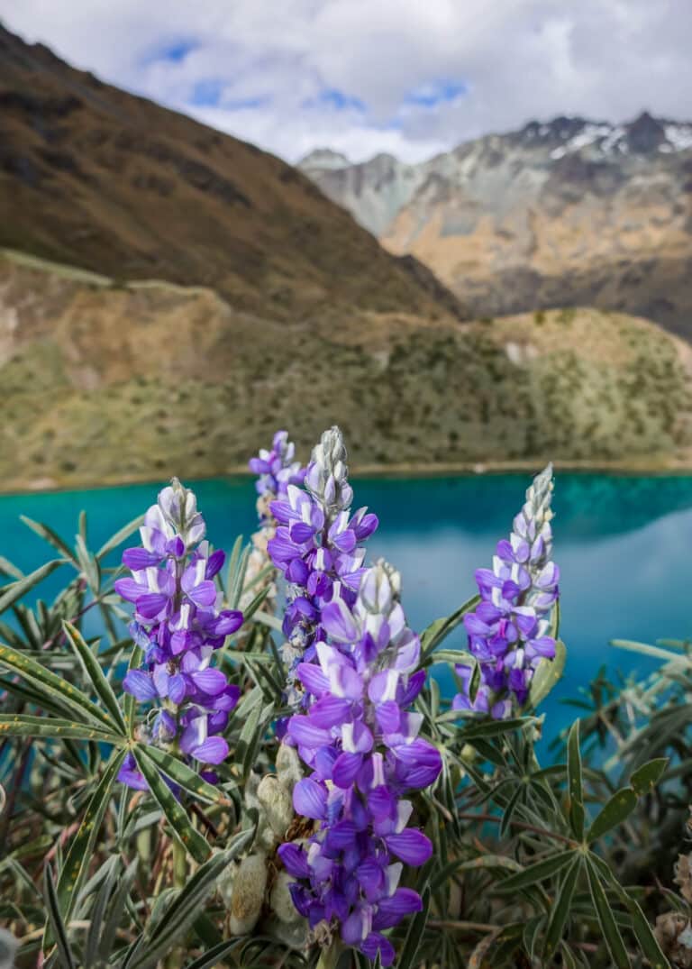Humantay Lake Hike: The Ultimate Guide To This Incredible Cusco Day Trip