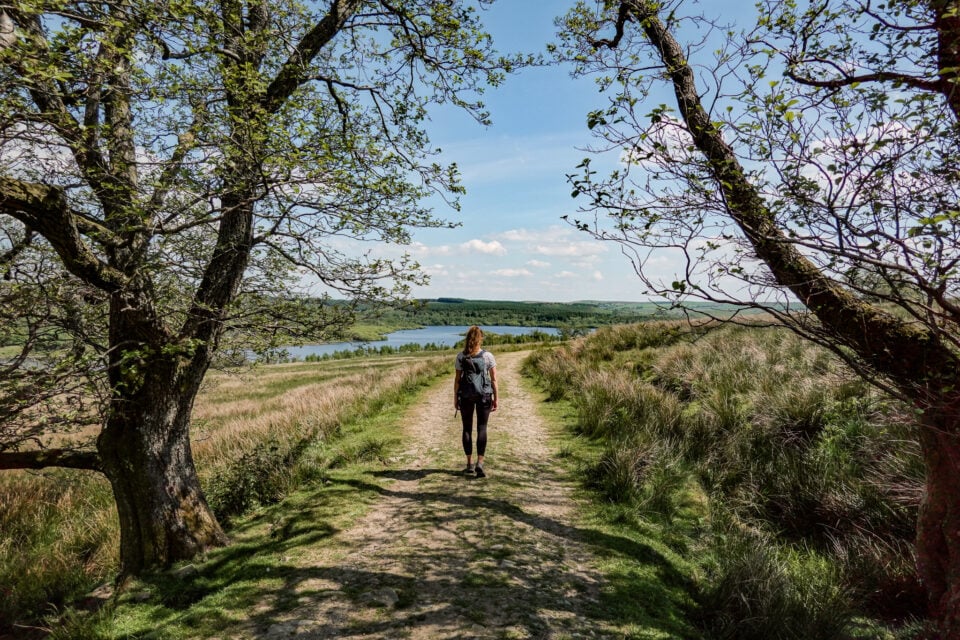 The 13 Best Forest of Bowland Walks ([date-today format='Y'])