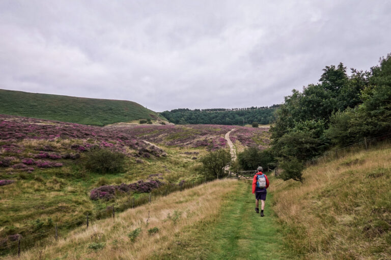 The 17 Best Walks in the North York Moors ([date-today format='Y'])
