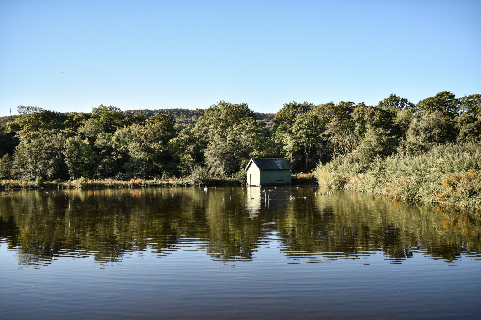 Yorke's Folly & Guise Cliff: One of the Best Walks in Pateley Bridge
