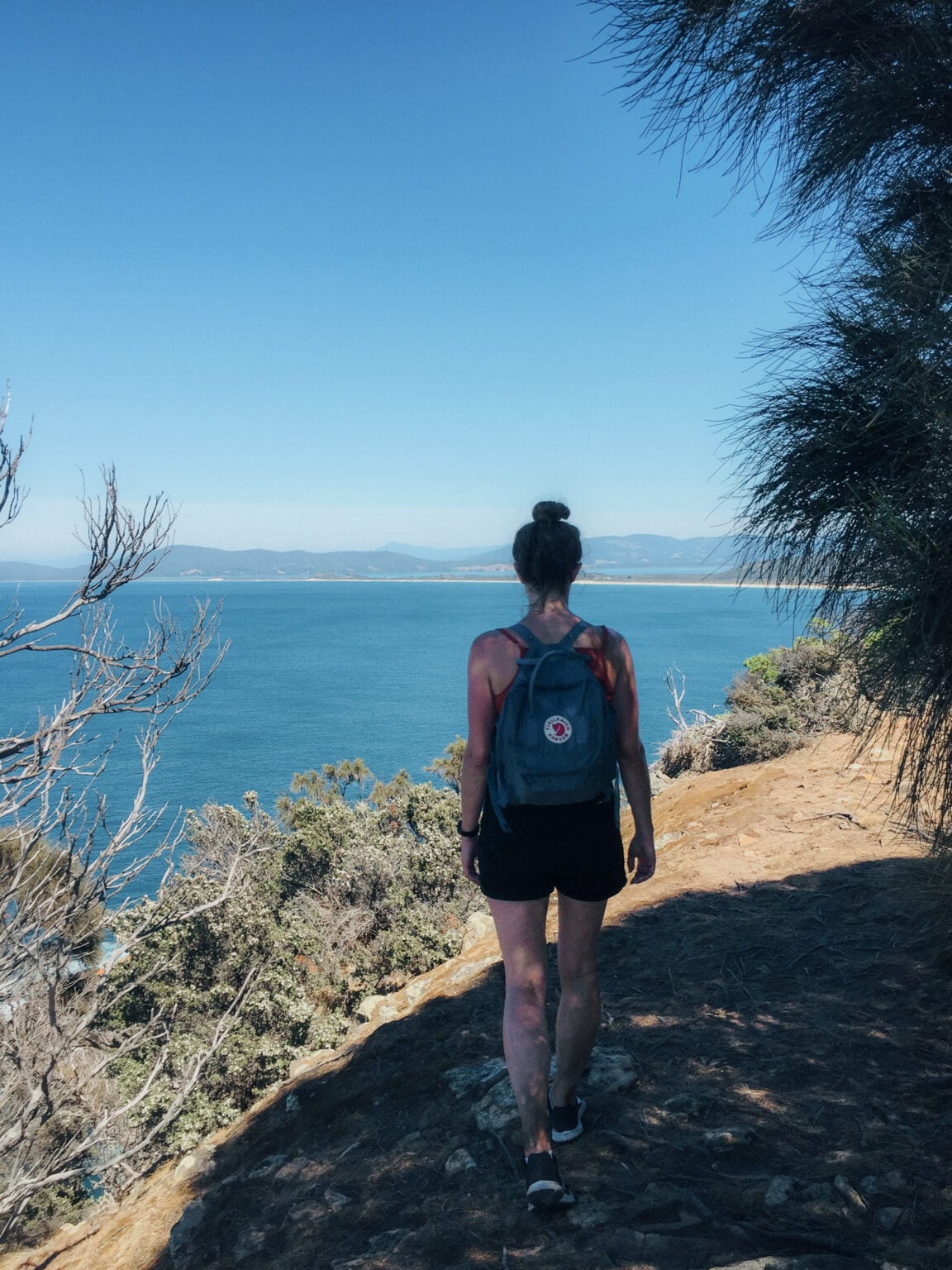 Cape Queen Elizabeth Track: The Best Bruny Island Walk