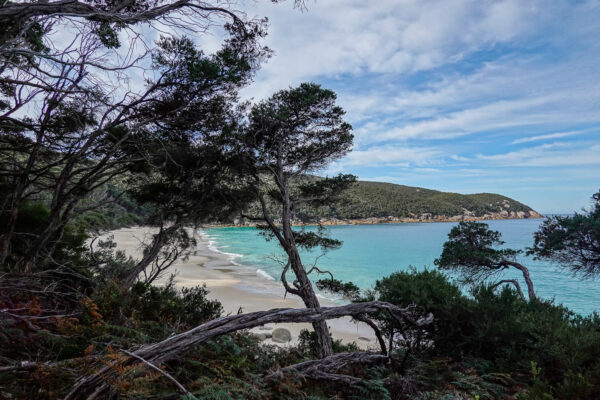 Wilsons Prom Southern Circuit: The Complete Hiking Guide