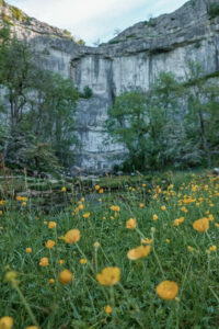 Malham Cove Walk: The Ultimate Guide - Travel Made Me Do It