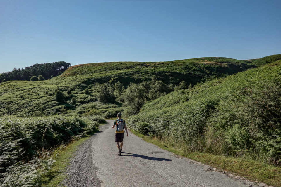 Ilkley Moor and the Cow and Calf Rocks: The Ultimate Guide