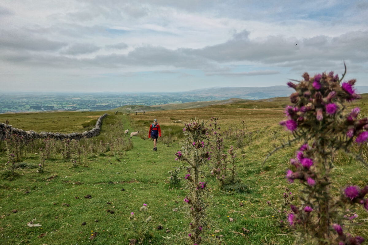 Nine Standards Rigg: The Ultimate Walking Guide ([date-today format='Y'])