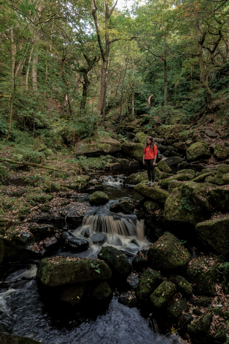 Padley Gorge Walk: Visit The Peak District's Enchanting Woodland
