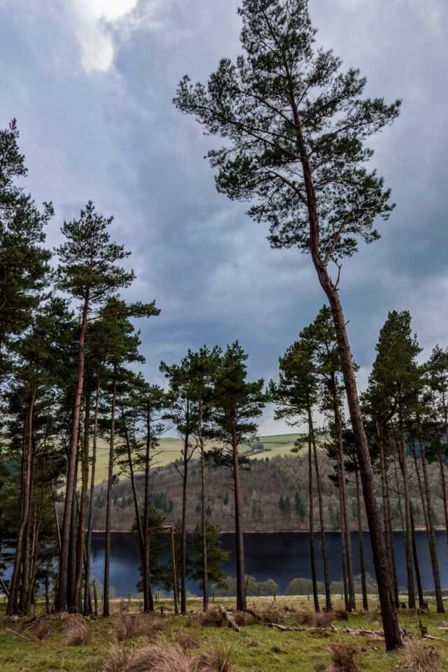 Derwent Edge Walk In The Peak District: The Complete Guide