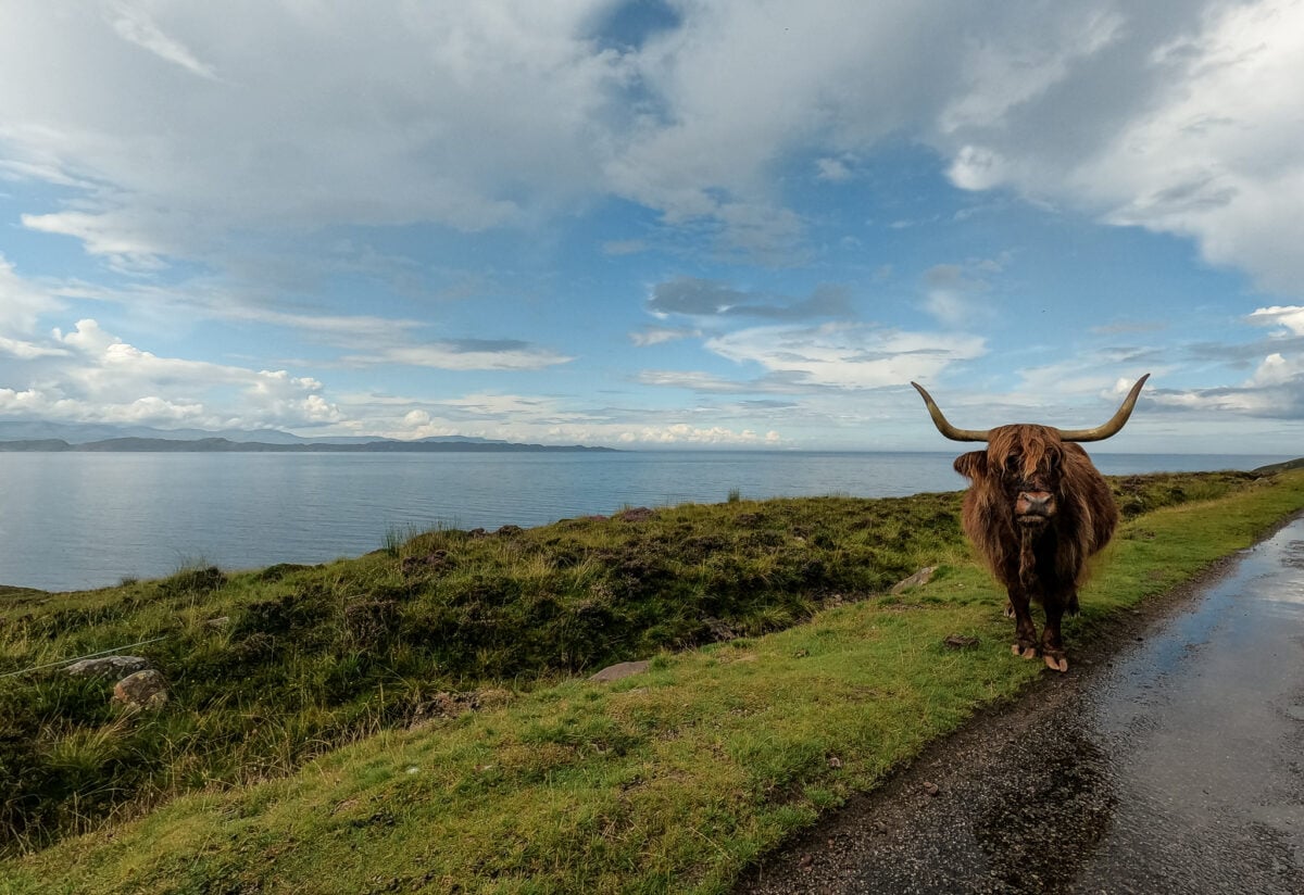 Applecross Scotland: The Complete NC500 Guide