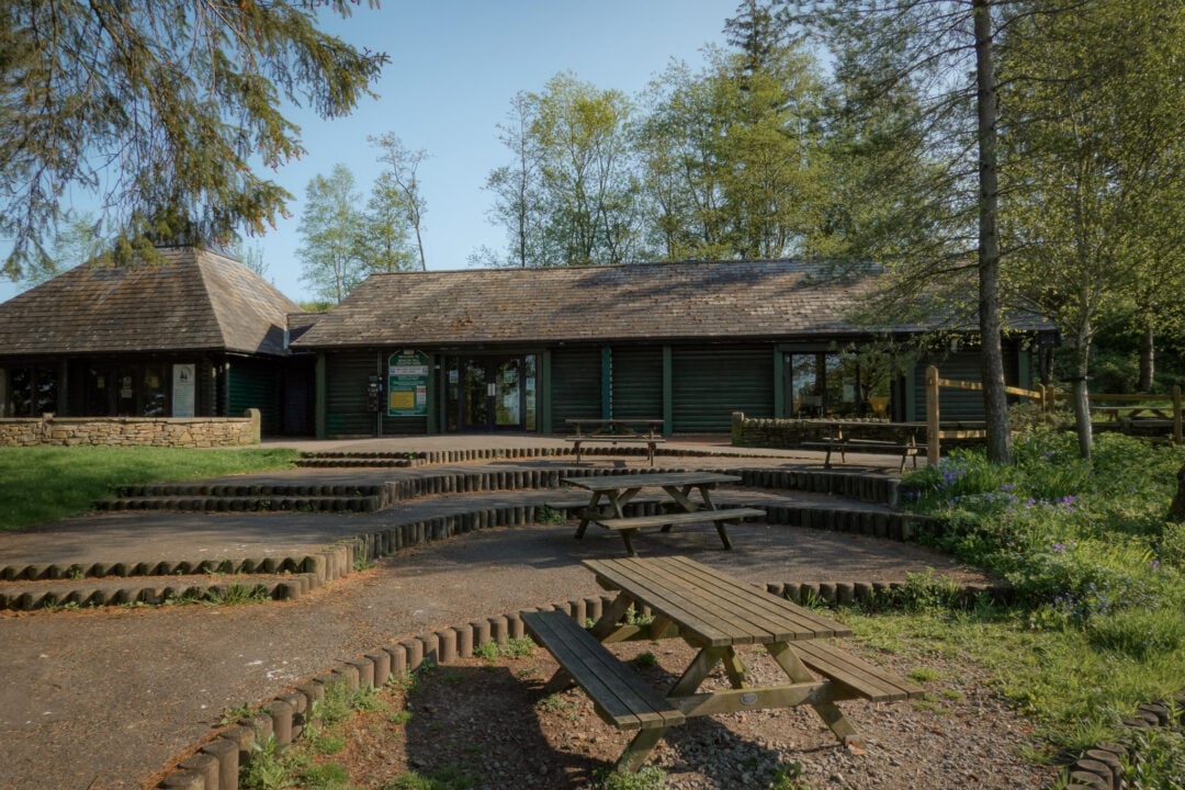 Beacon Fell Country Park: The Ultimate Visitor's Guide