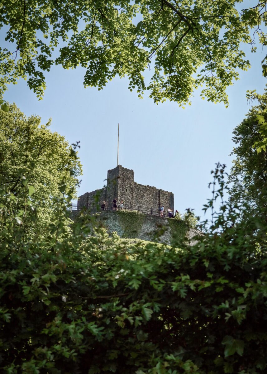 Forest of Bowland Guide: 25 Awesome Things to Do ([date-today format='Y'])