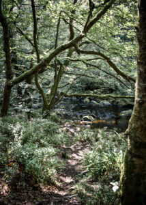 Hardcastle Crags Walk: Everything You Need to Know