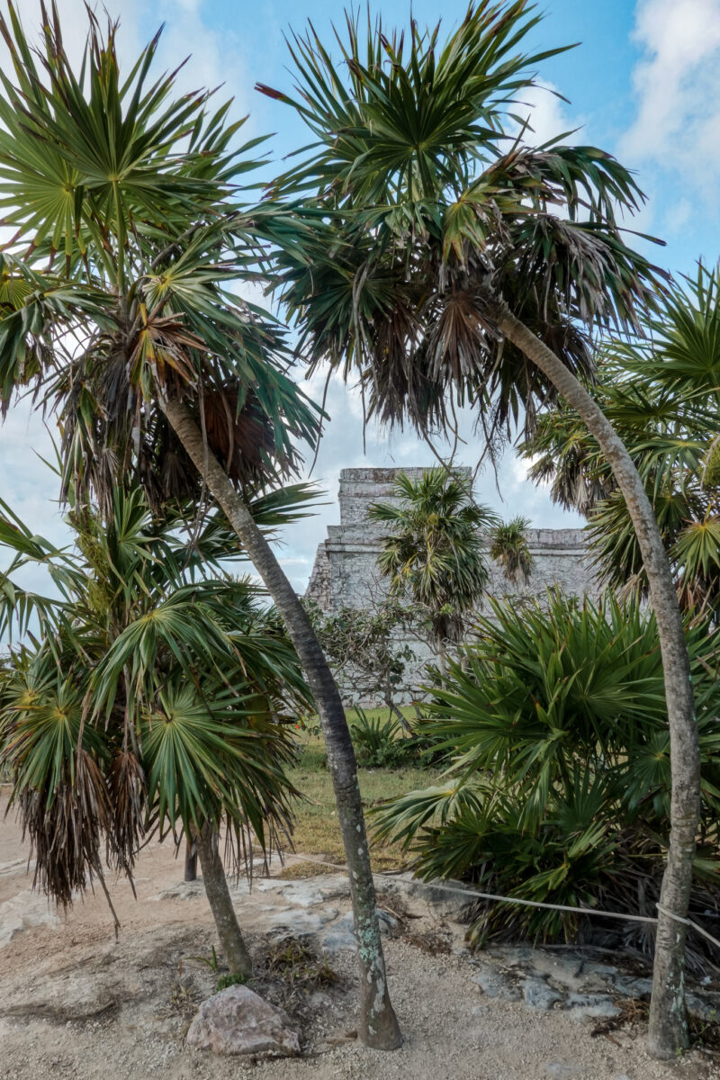 Tulum Ruins, Mexico: The Complete Visitor's Guide