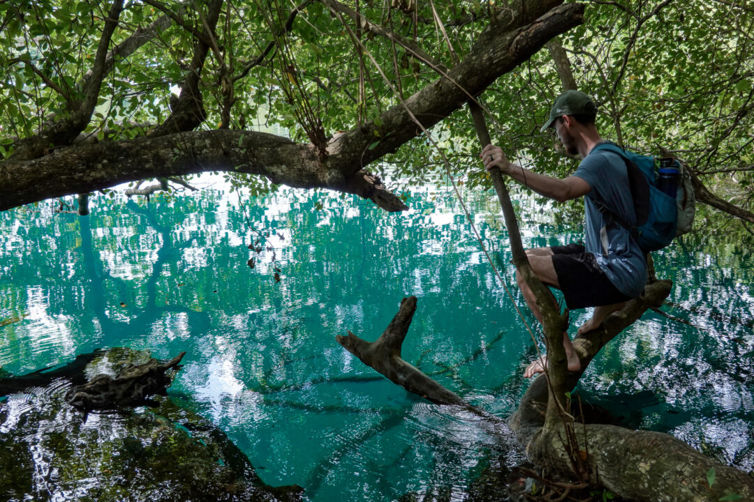 25 Of The Best Cenotes In The Yucatán Peninsula, Mexico