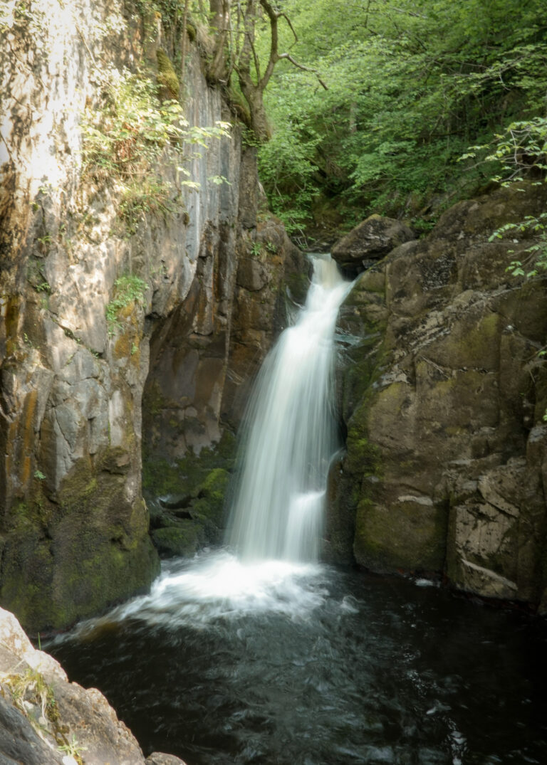 Ingleton Falls (Ingleton Waterfalls Trail): The Ultimate Guide ([date ...