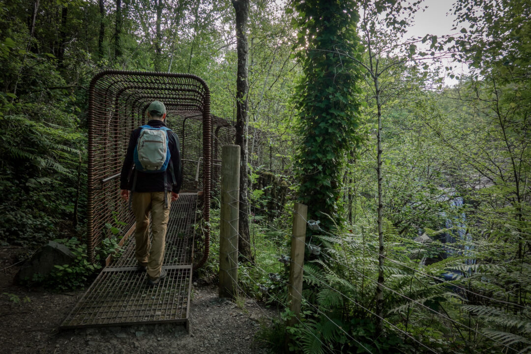 Falls of Falloch: The Ultimate Visitor's Guide