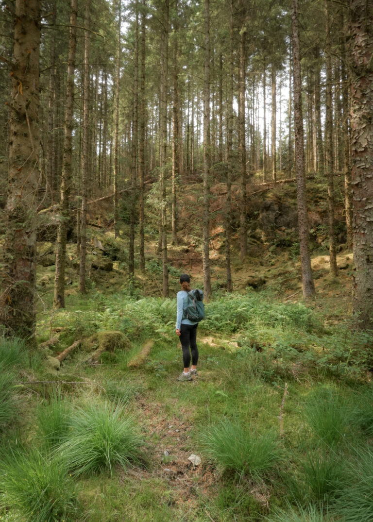 Loch Ard Near Aberfoyle: The Ultimate Visitor's Guide