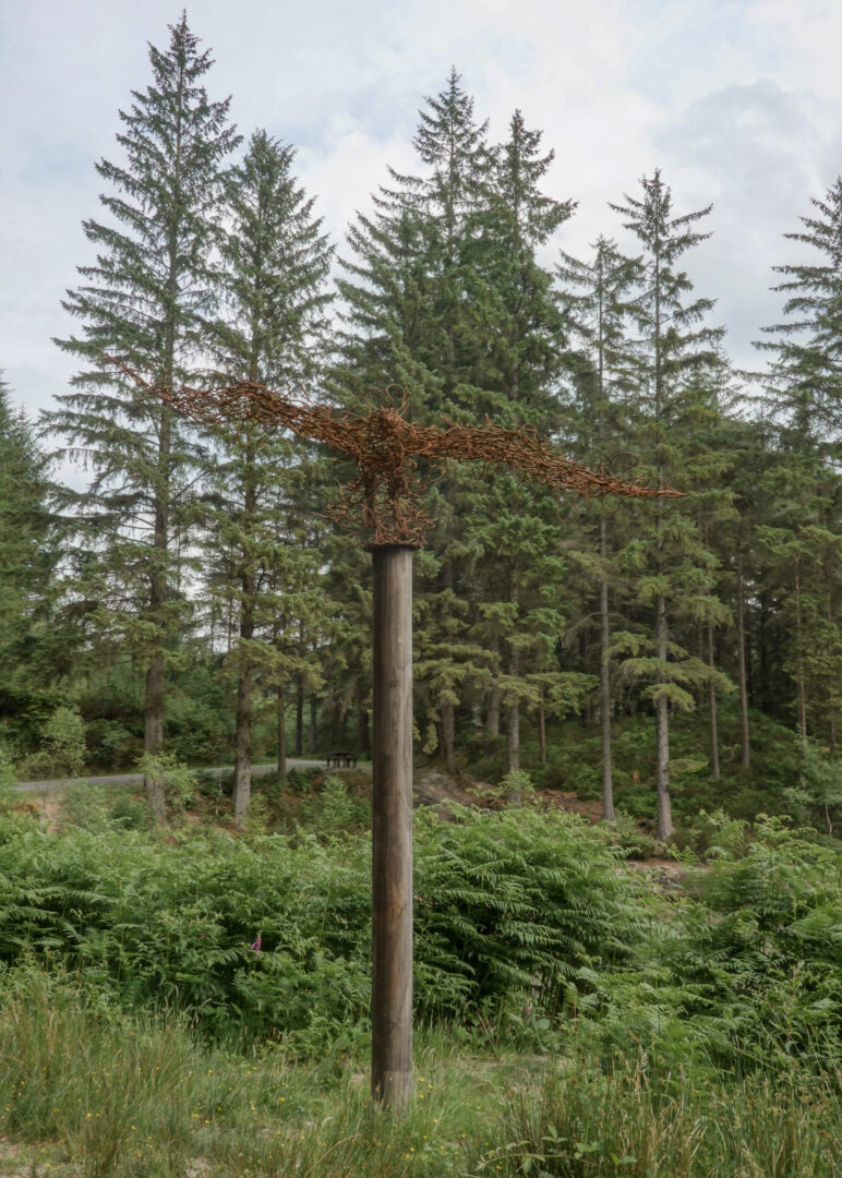 Loch Ard Near Aberfoyle: The Ultimate Visitor's Guide