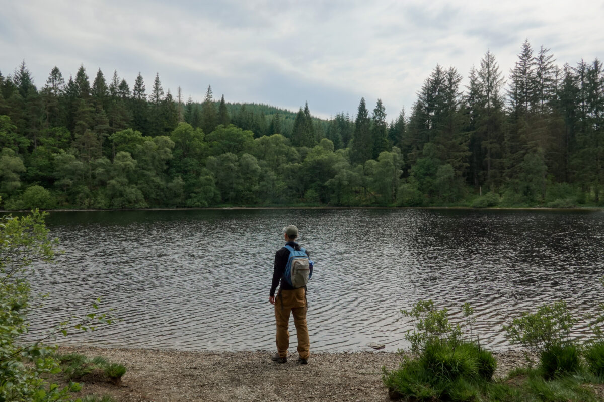 Loch Ard Near Aberfoyle: The Ultimate Visitor's Guide