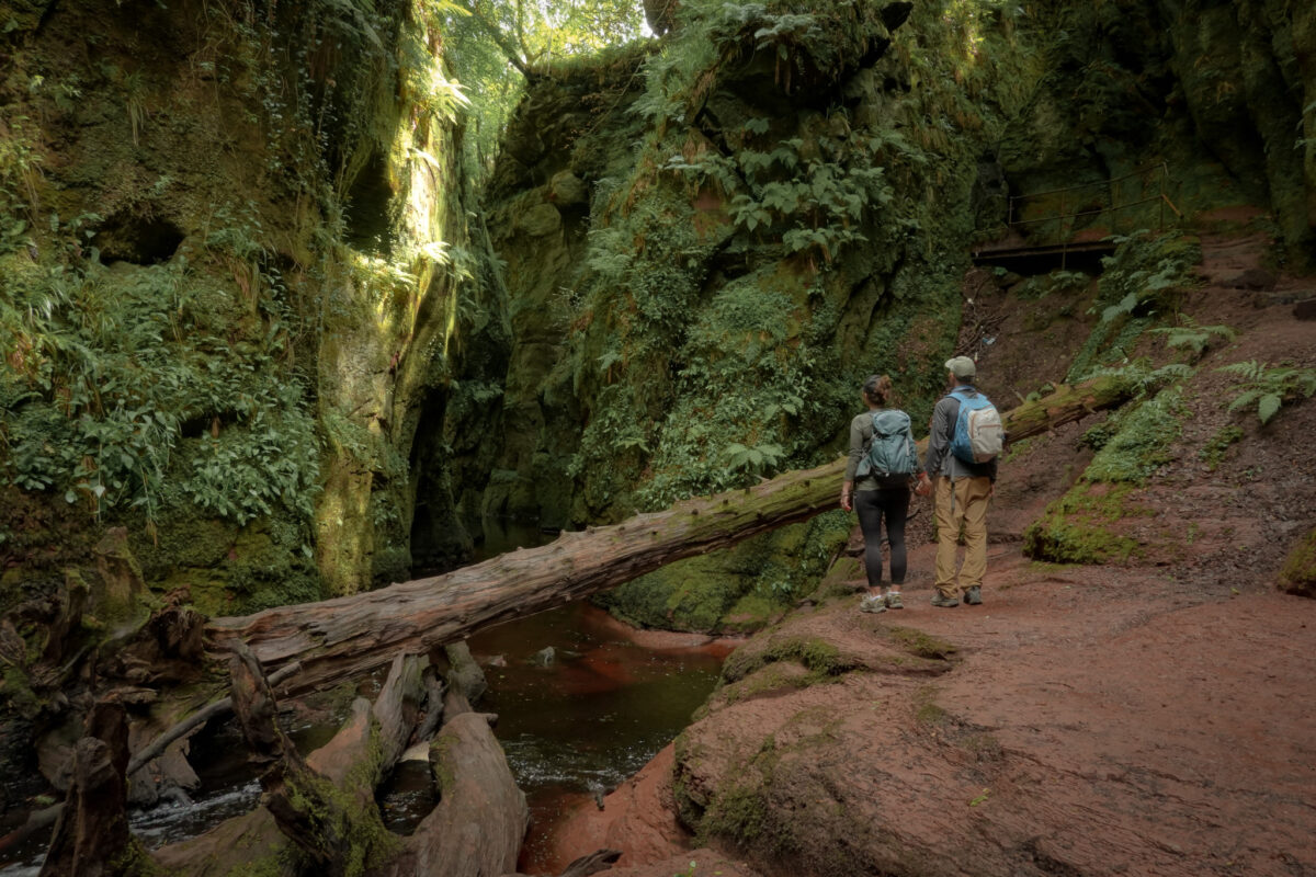 Devil's Pulpit, Finnich Glen: 9 Things You Must Know About Visiting