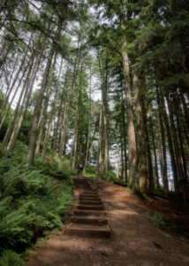 Conic Hill Walk, Balmaha: The Ultimate Guide
