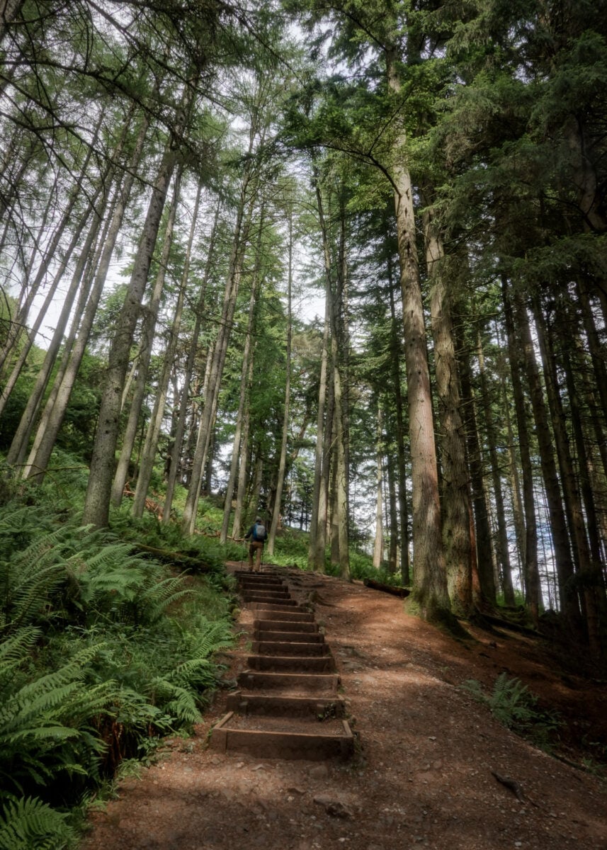 Conic Hill Walk, Balmaha: The Ultimate Guide