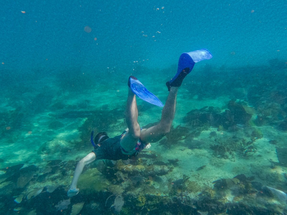 Belize Snorkeling: The TOP 16 Snorkeling Spots in Belize