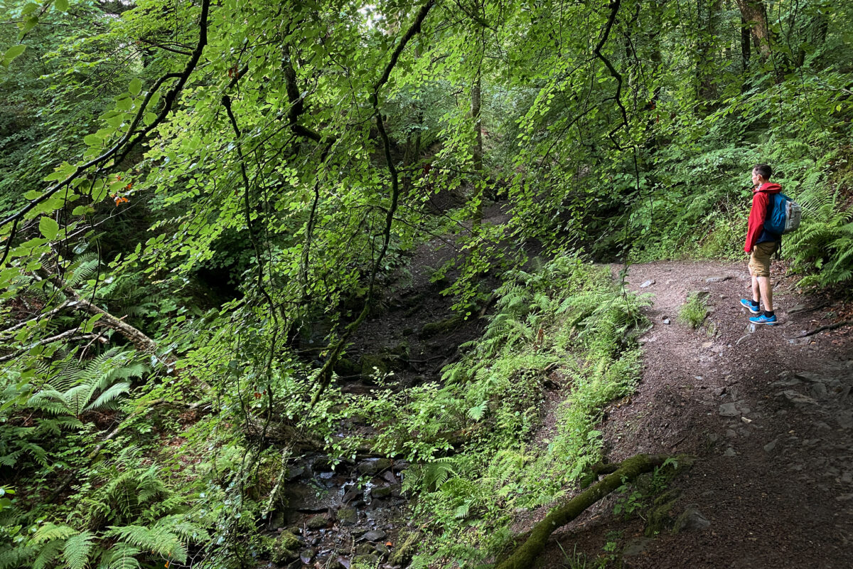 Balloch Castle Country Park: The Ultimate Guide