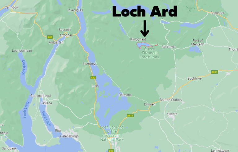 Loch Ard Near Aberfoyle: The Ultimate Visitor's Guide