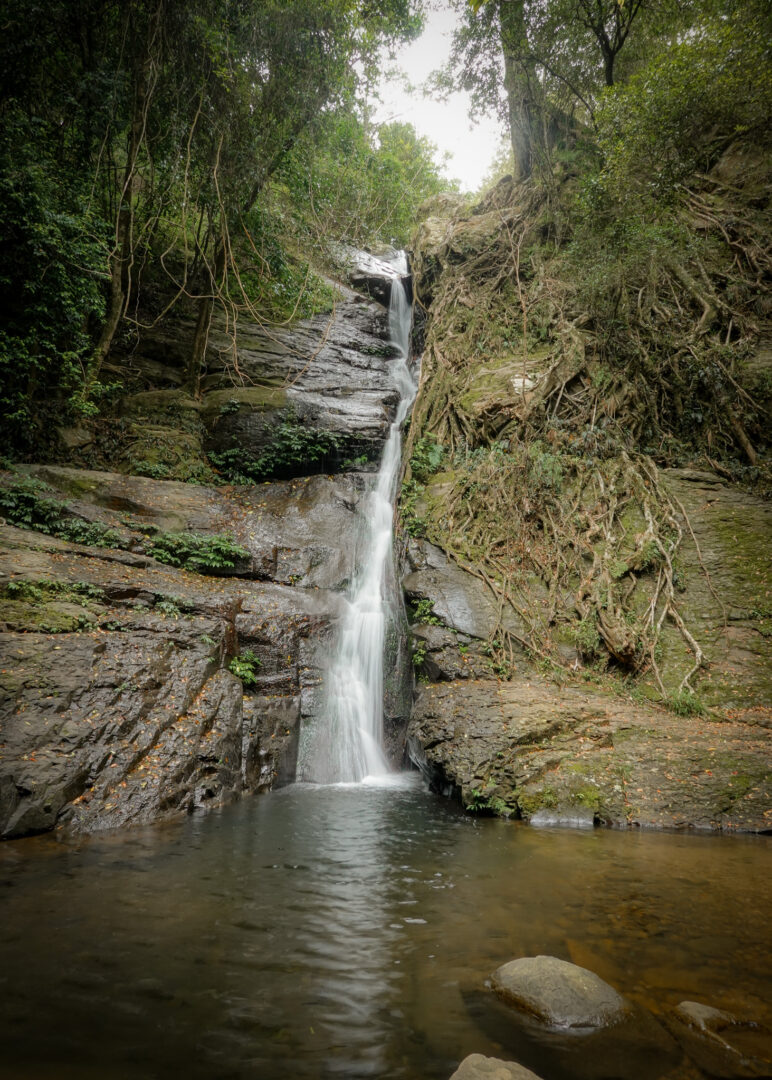 Cascade Falls: The Cascades Walk Ultimate Guide (Updated [date-today ...