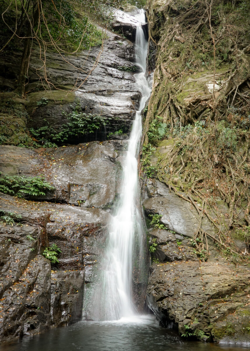 Cascade Falls: The Cascades Walk Ultimate Guide (Updated [date-today ...