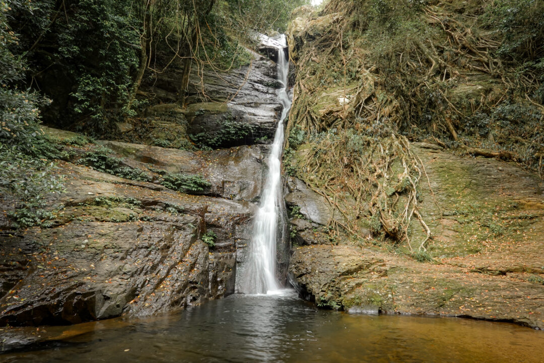 Cascade Falls: The Cascades Walk Ultimate Guide (Updated [date-today ...
